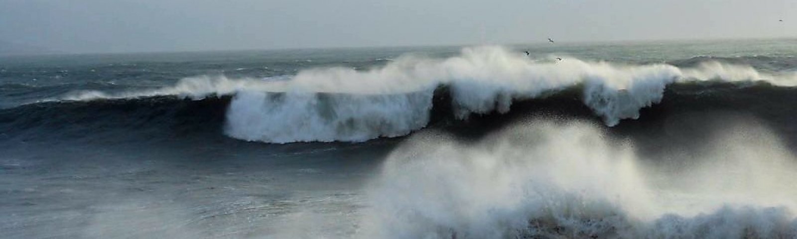 Las marejadas llegaron para quedarse - Directemar