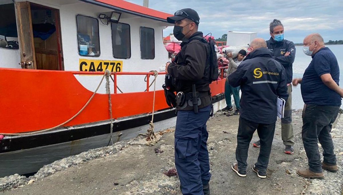 Incautan 23 toneladas de luga negra en Caleta Quicaví